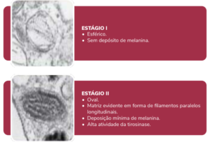 Leucodermias: definição e outras doenças de pele - Sanarmed
