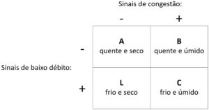 Insuficiência cardíaca: como diagnosticar? | Colunistas ~ RAIKA CIRURGIAS