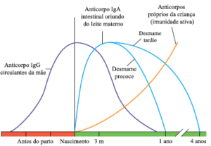 Fisiologia da lactação: delineamento da bebida mais valiosa do mundo ...