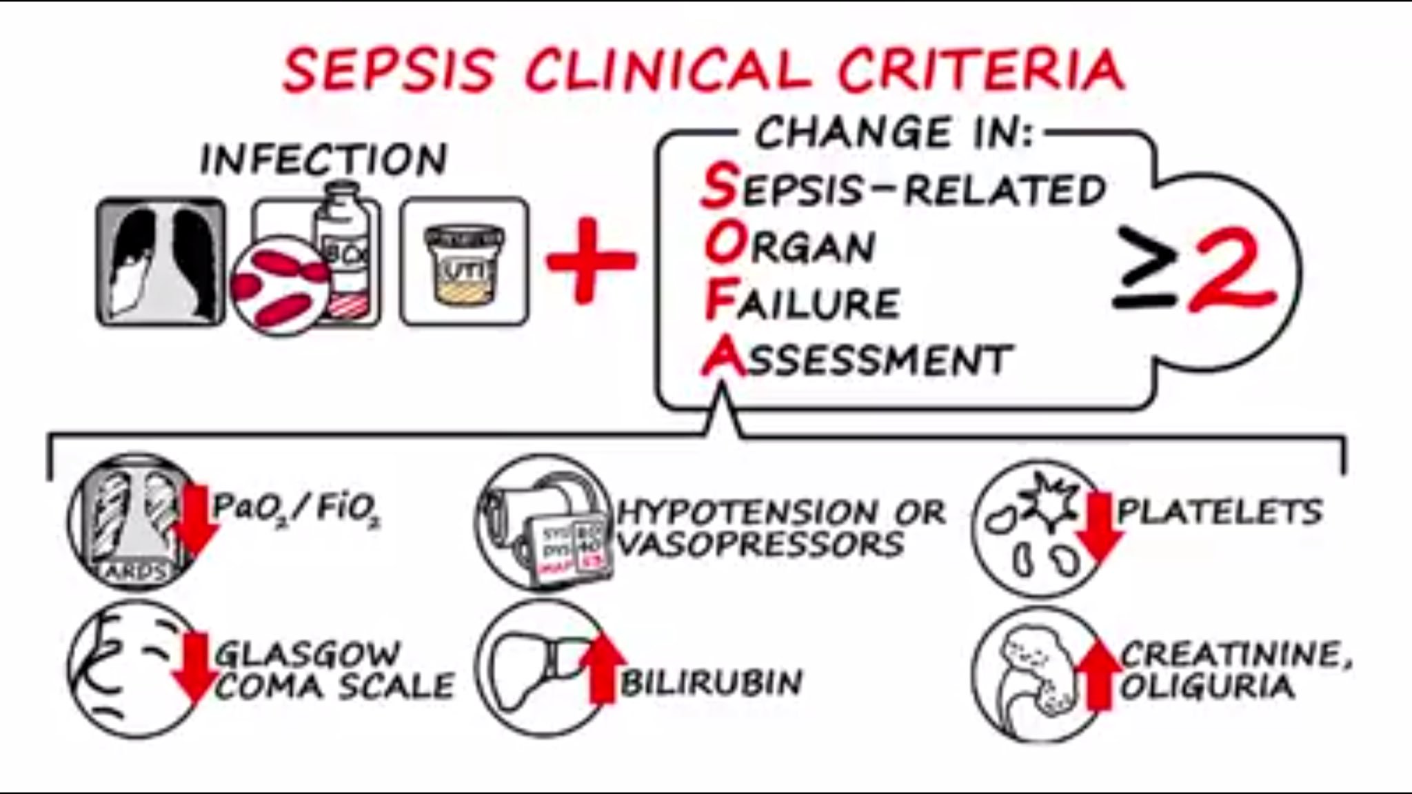 Sepse e choque séptico: diagnóstico e conduta - Sanarmed