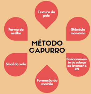 Prejuízo à assistência ao RN como reflexo da pandemia por SARS-Cov-19 ...