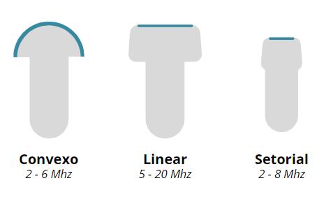 Princípios e Usos da Ultrassonografia à Beira Leito na Medicina ...