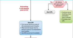 Resumo de PALS: Suportes básicos e avançados de Vida em Pediatria ...