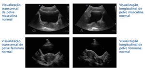 Protocolo FAST | Colunistas - Sanarmed