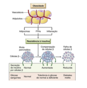 Resumo sobre a diabetes Mellitus tipo 2 | Colunistas - Sanarmed
