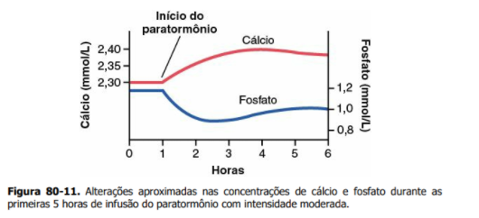 Regulação do cálcio e fosfato no corpo: paratormônio, calcitonina e ...