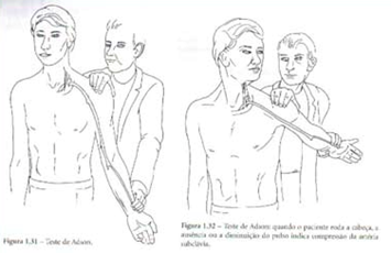 Sinais Vitais|Colunistas - Sanarmed