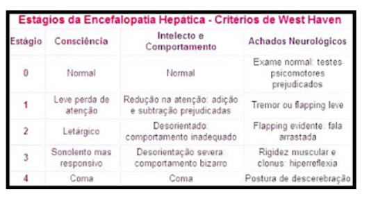 Tudo que você precisa saber sobre os segmentos hepáticos - Sanarmed